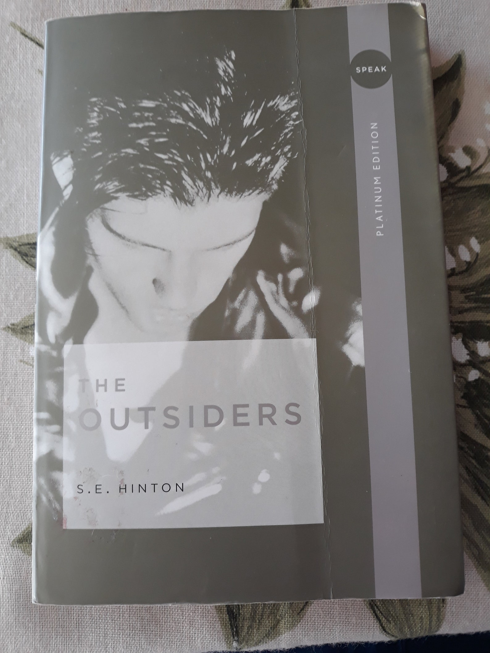 1995 Platinum Edition of S E Hinton's the Outsiders - Etsy