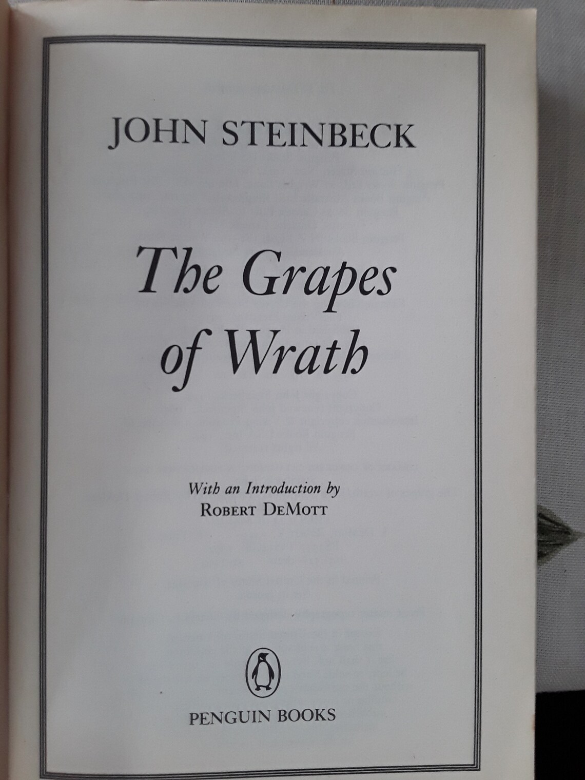 1990s Vintage Soft Cover Edition of the Grapes of Wrath by John ...