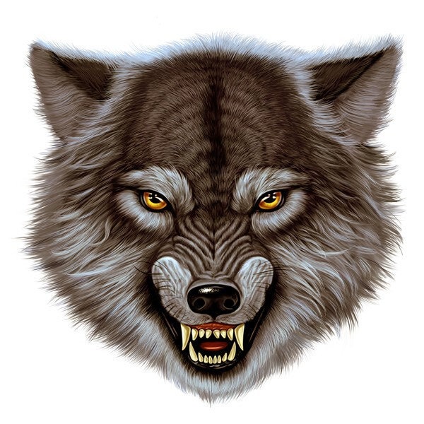 Angry Wolf Front View