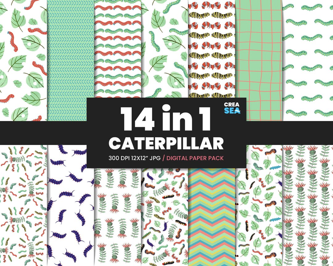 Caterpillar Digital Paper, Insect Backgrounds, Garden Lady Gift ...
