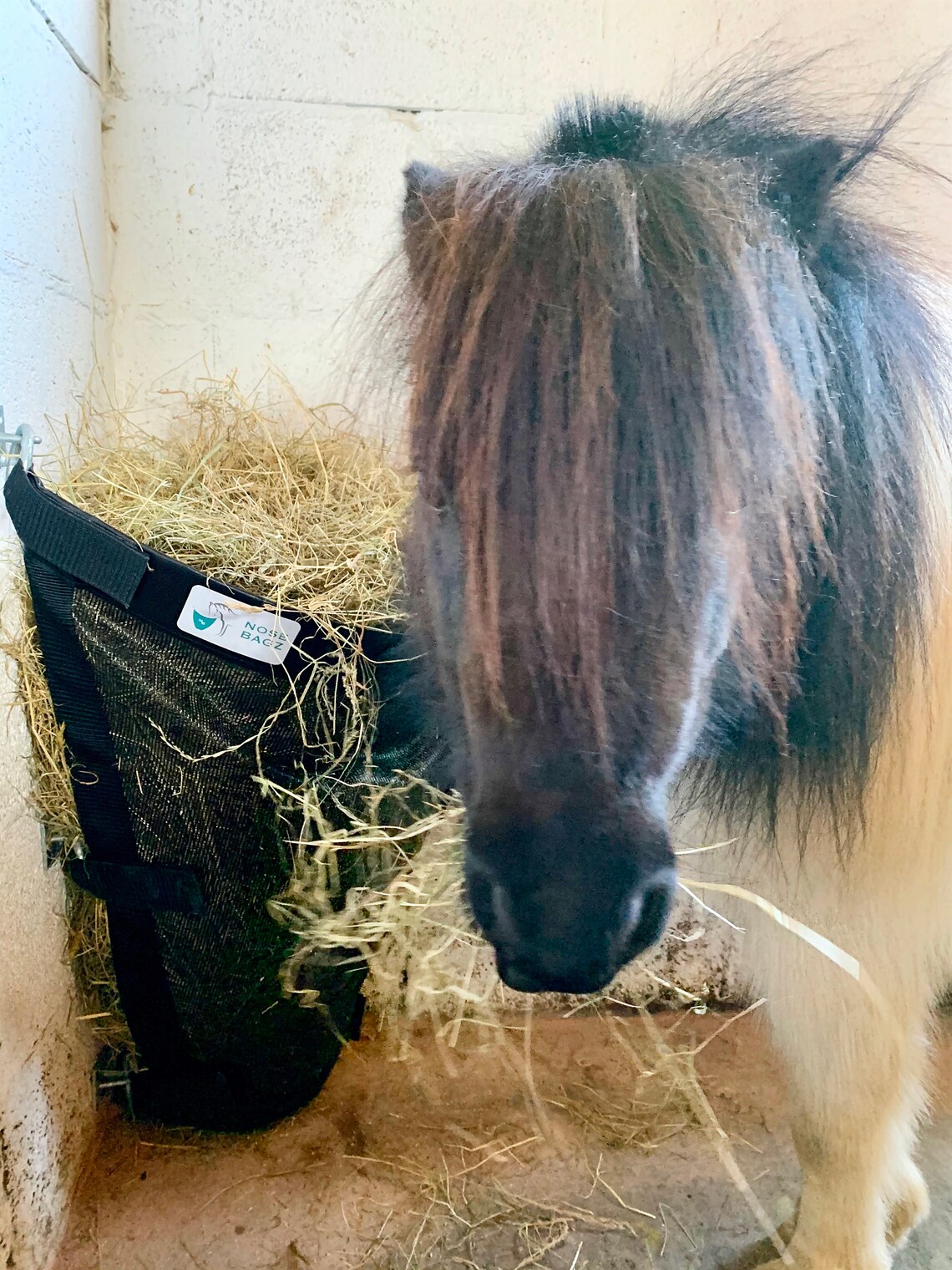 Nose Bagz Extra Small Stable Hay Feeder - Etsy UK