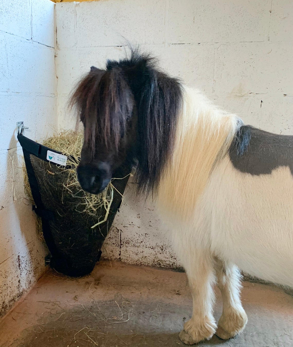 Nose Bagz Extra Small Stable Hay Feeder - Etsy UK