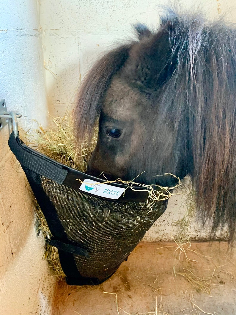 Nose Bagz Extra Small Stable Hay Feeder - Etsy UK
