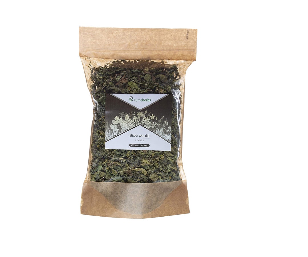 Sida Acuta Leaves (100g) - Etsy