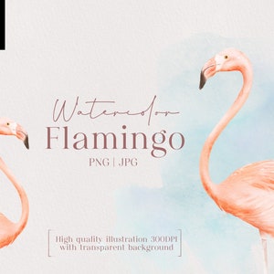 Watercolor Pink Flamingo - Hand Painted Clipart - Digital Print ...