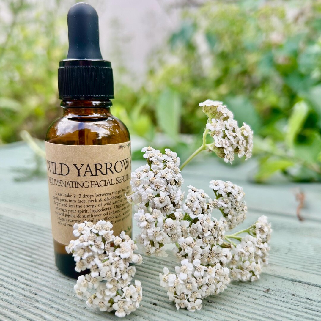 Wild Foraged Yarrow Face Serum: Organic Reawakening Facial Oil - Etsy