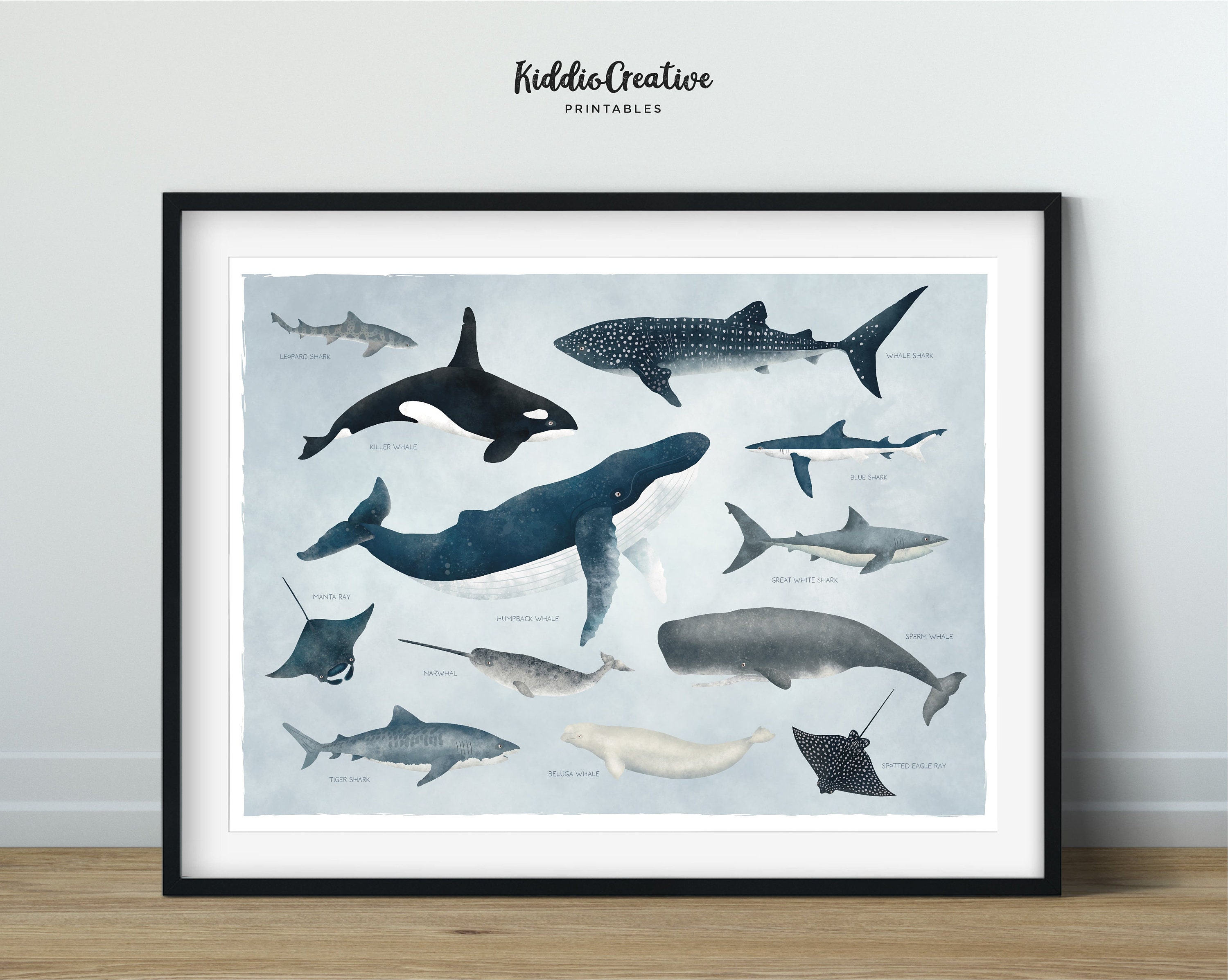 Horizontal Ocean Creatures Poster; Sharks, Rays and Whales; Kids ...