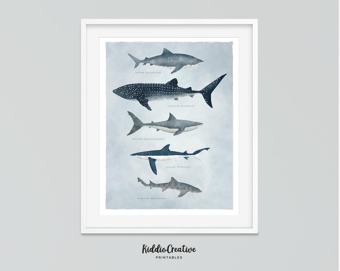 Sharks Printable Wall Art; Vertical Sharks Poster; Kids Room Decor ...