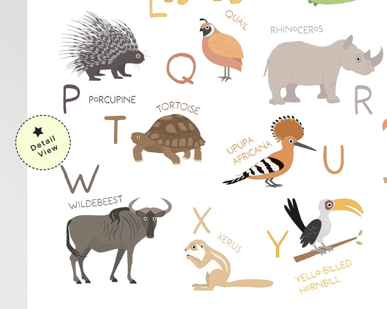 Safari Animal Alphabet Cute African Animals ABC Poster - Etsy