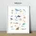 Ocean Animals Alphabet; Children's Ocean ABC Poster; Kids Room Decor ...