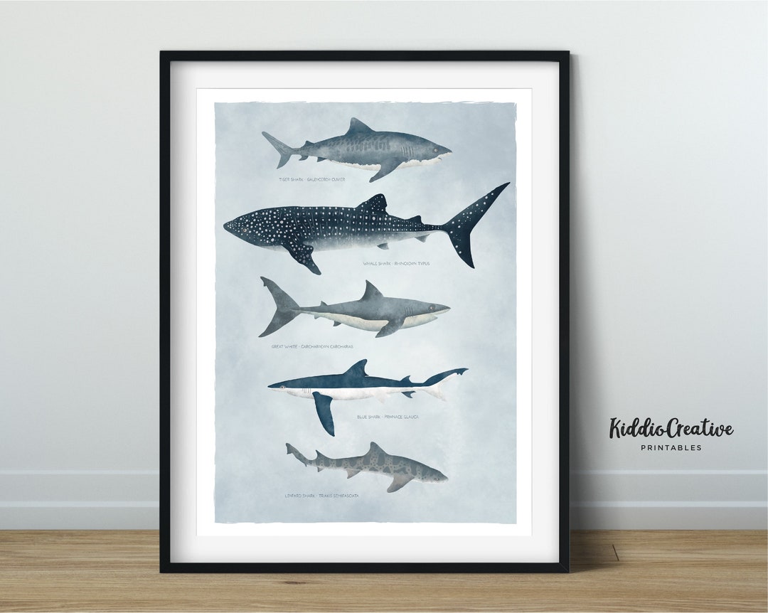 Sharks Printable Wall Art; Vertical Sharks Poster; Kids Room Decor ...