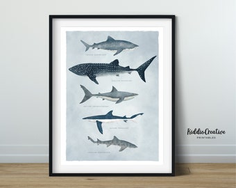 Shark Wall Art for Kids Room Custom Shark Theme Name Decor Shark Themed ...