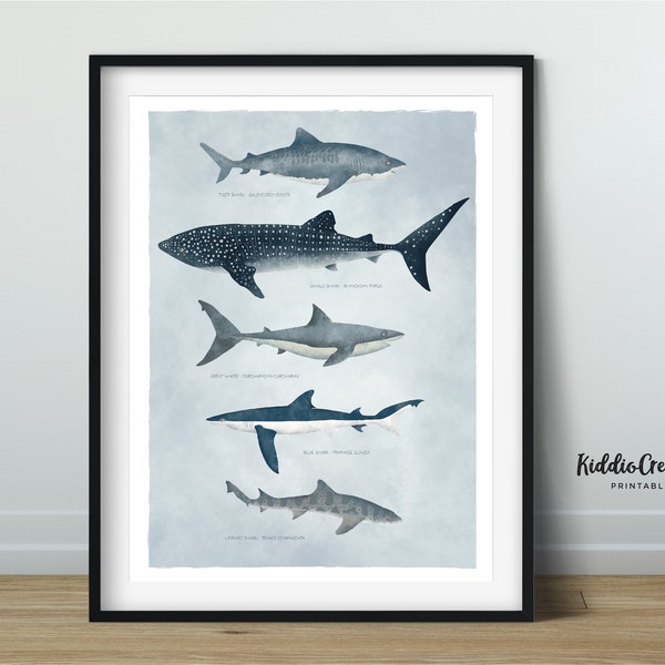 Shark Room Decor - Etsy