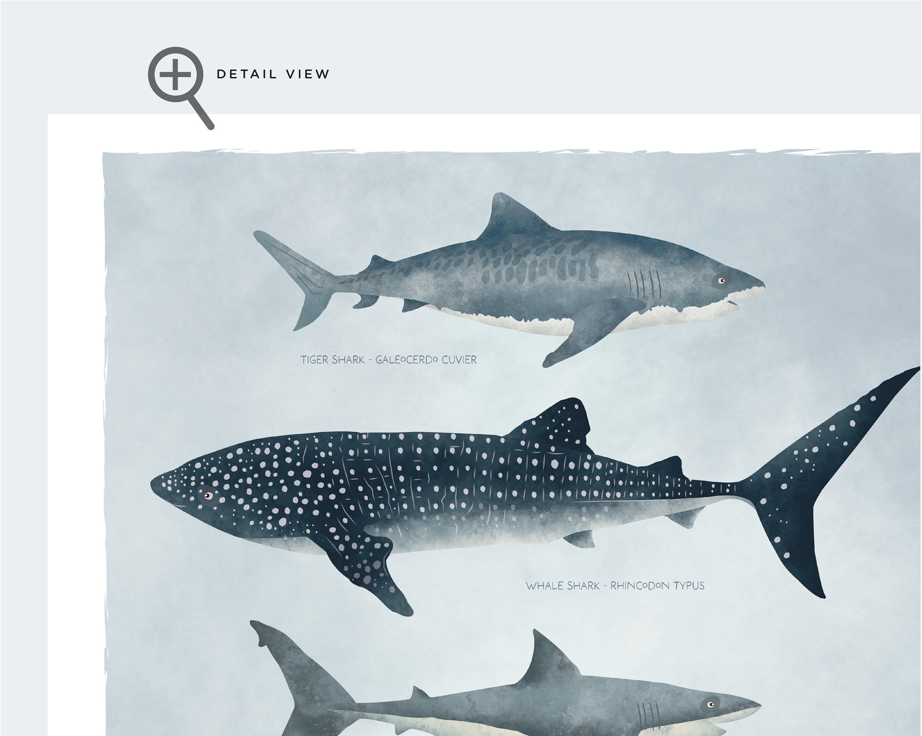 Sharks Printable Wall Art; Vertical Sharks Poster; Kids Room Decor ...