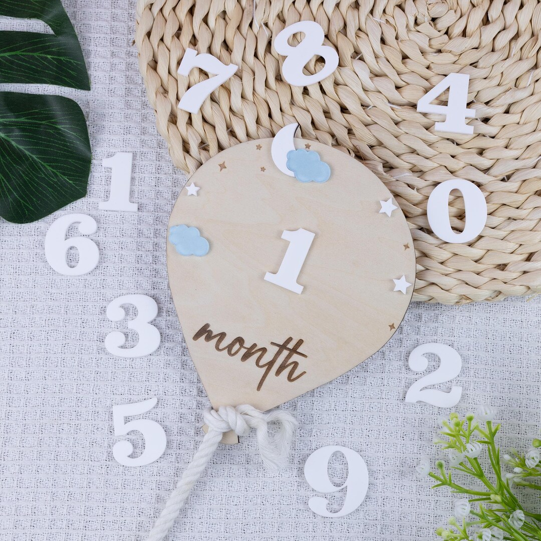 3D Monthly Milestone Discs for Baby Photos, Monthly Baby Milestone ...