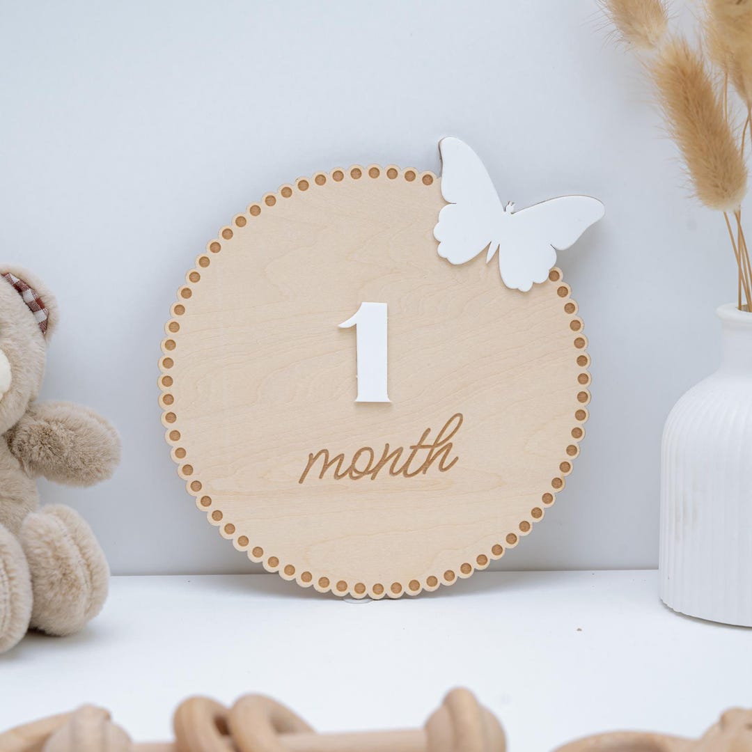 Butterfly Baby Monthly Milestone Sign, 3D Monthly Milestone Discs ...