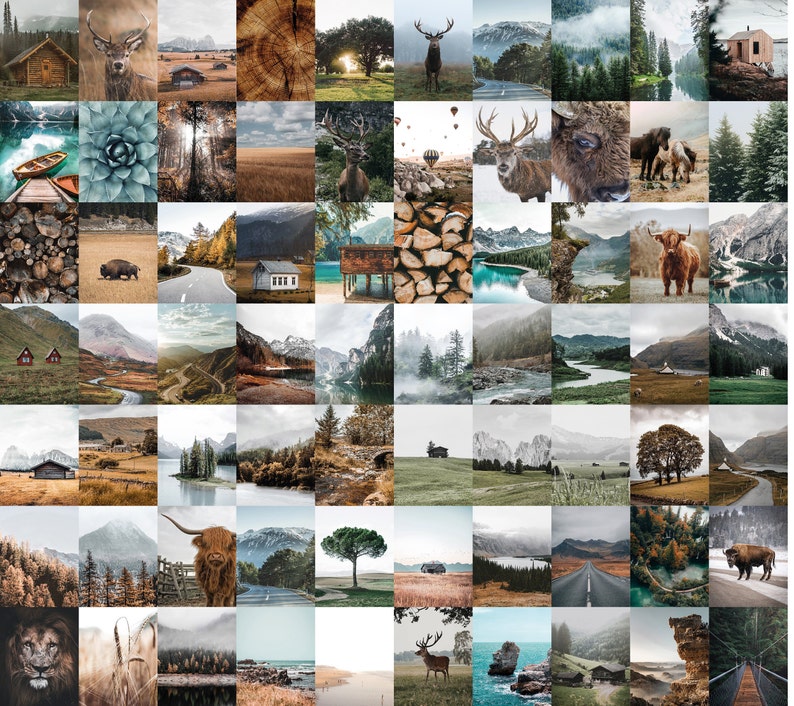 200x NATURE Printable Set Nature Wall Art Forest Prints - Etsy