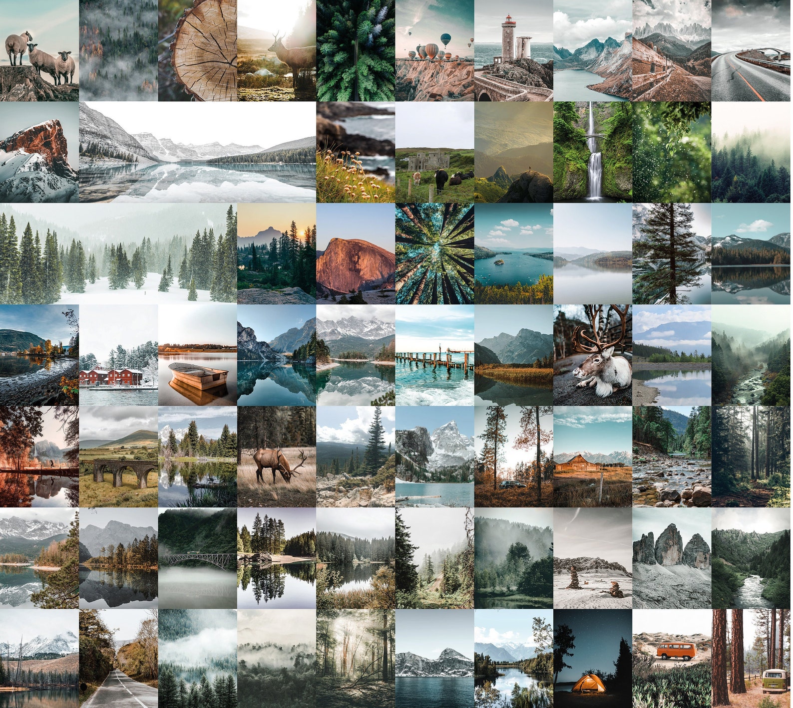 200x NATURE Printable Set Nature Wall Art Forest Prints - Etsy