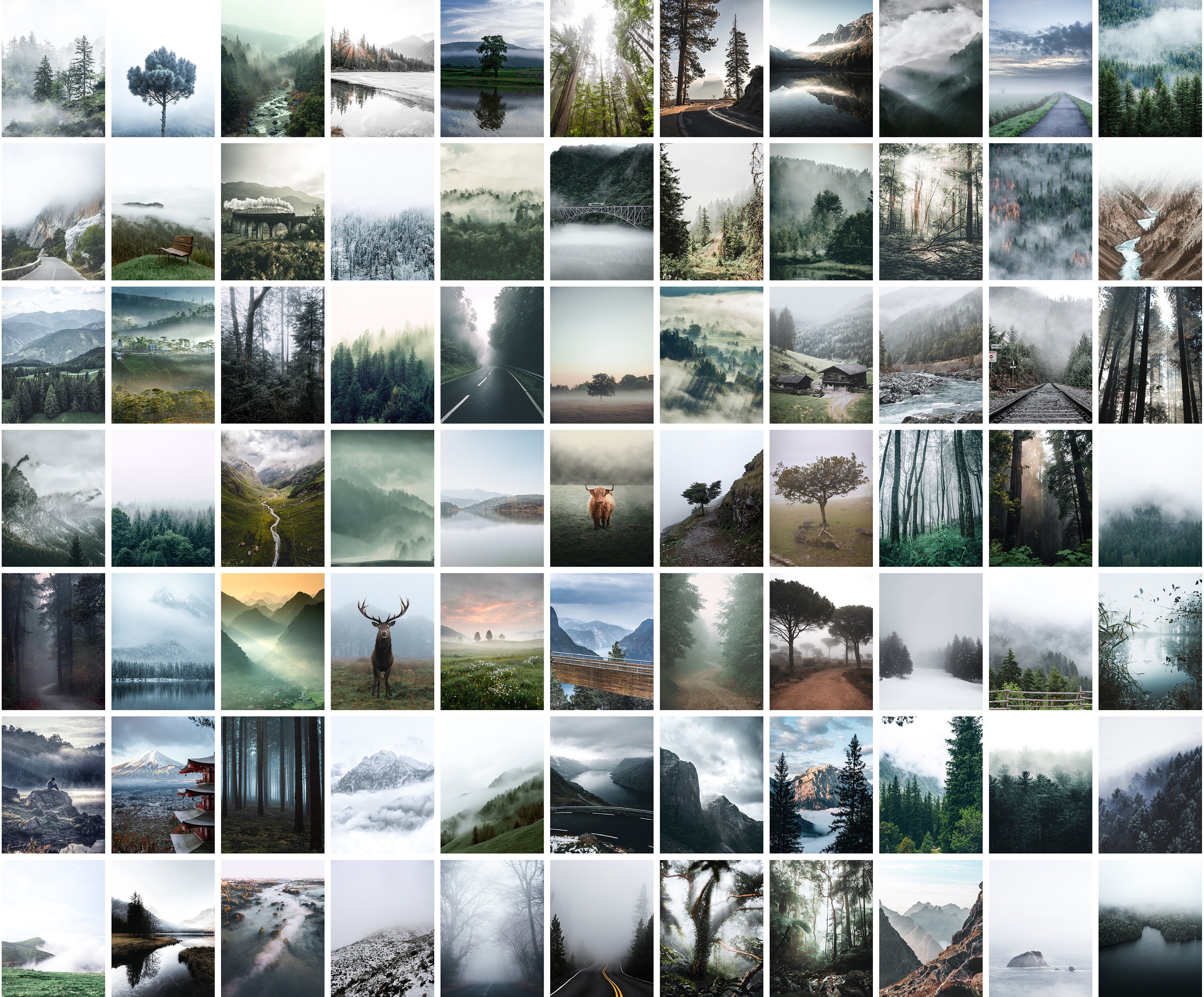 350x FOGGY NATURE Printable Set, Nature Wall Art, Foggy Forest Prints ...