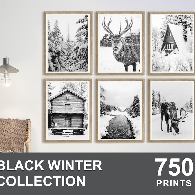 Deer Snow Black White Print - Etsy
