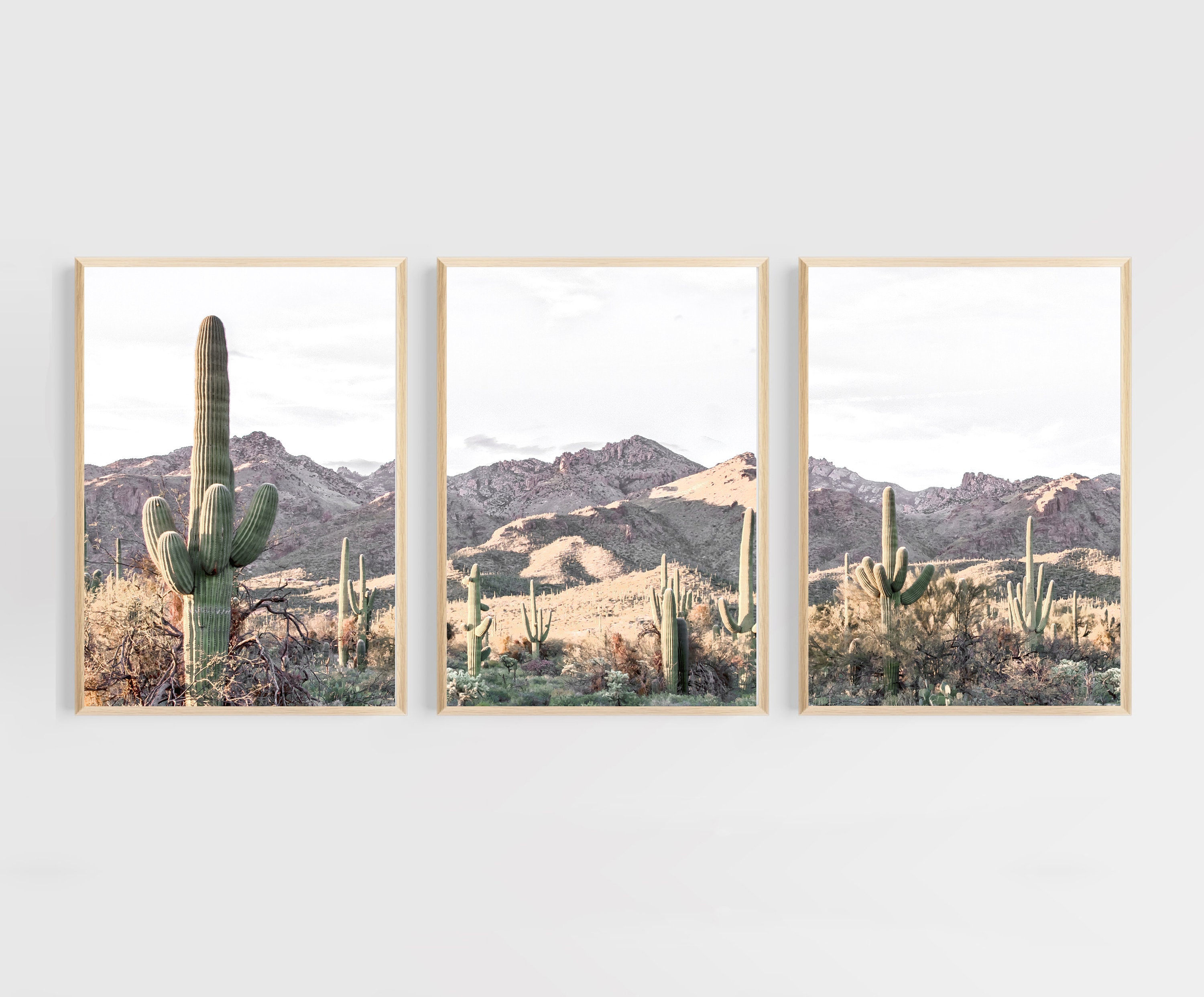 Set of 500 Desert Prints, Southwest Poster Set, Desert Wall Art ...