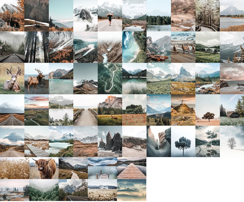 200x NATURE Printable Set Nature Wall Art Forest Prints - Etsy