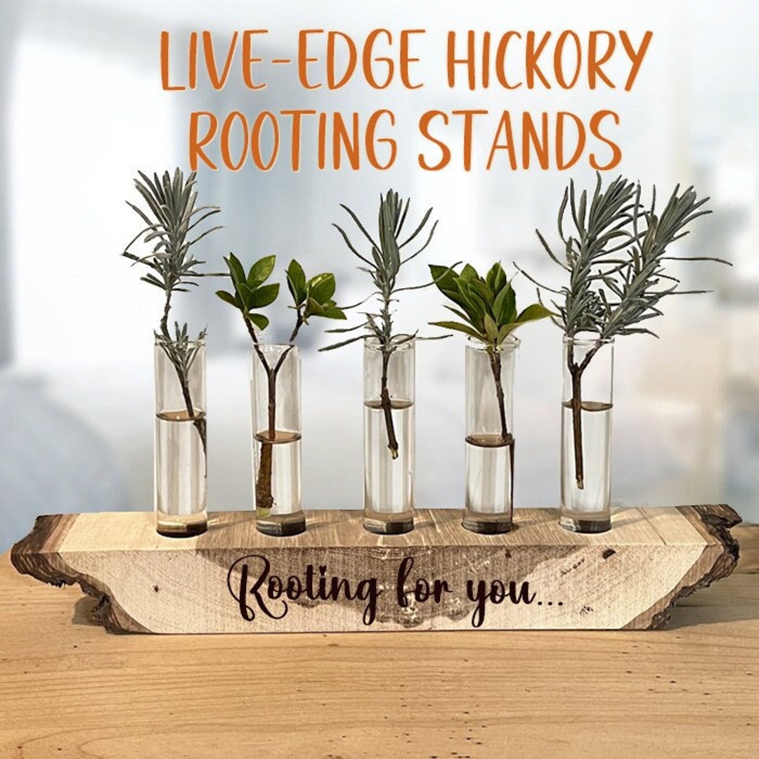 Personalized Live-edge Rooting Stand | Propagation Station in Solid ...