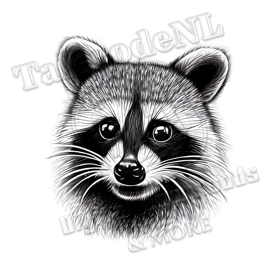 Raccoon Face Illustration