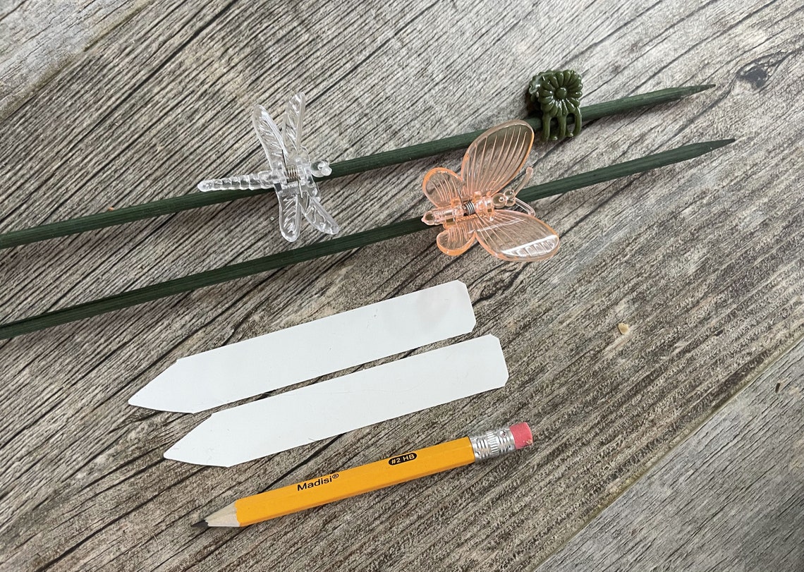 Orchid Repotting Kit With Fine Fir Bark Mix and 4" Clear Round Slotted ...