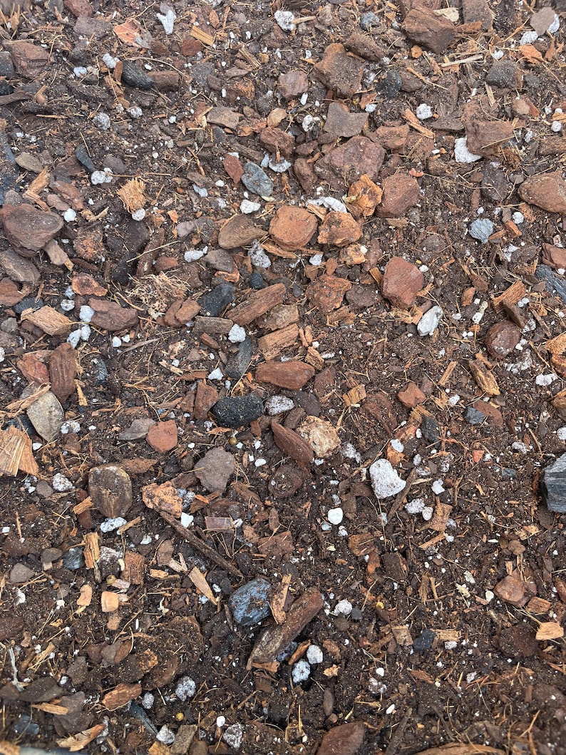 Cymbidium Orchid Potting Mix, Rich Organic Orchid Mix, Soil Based ...