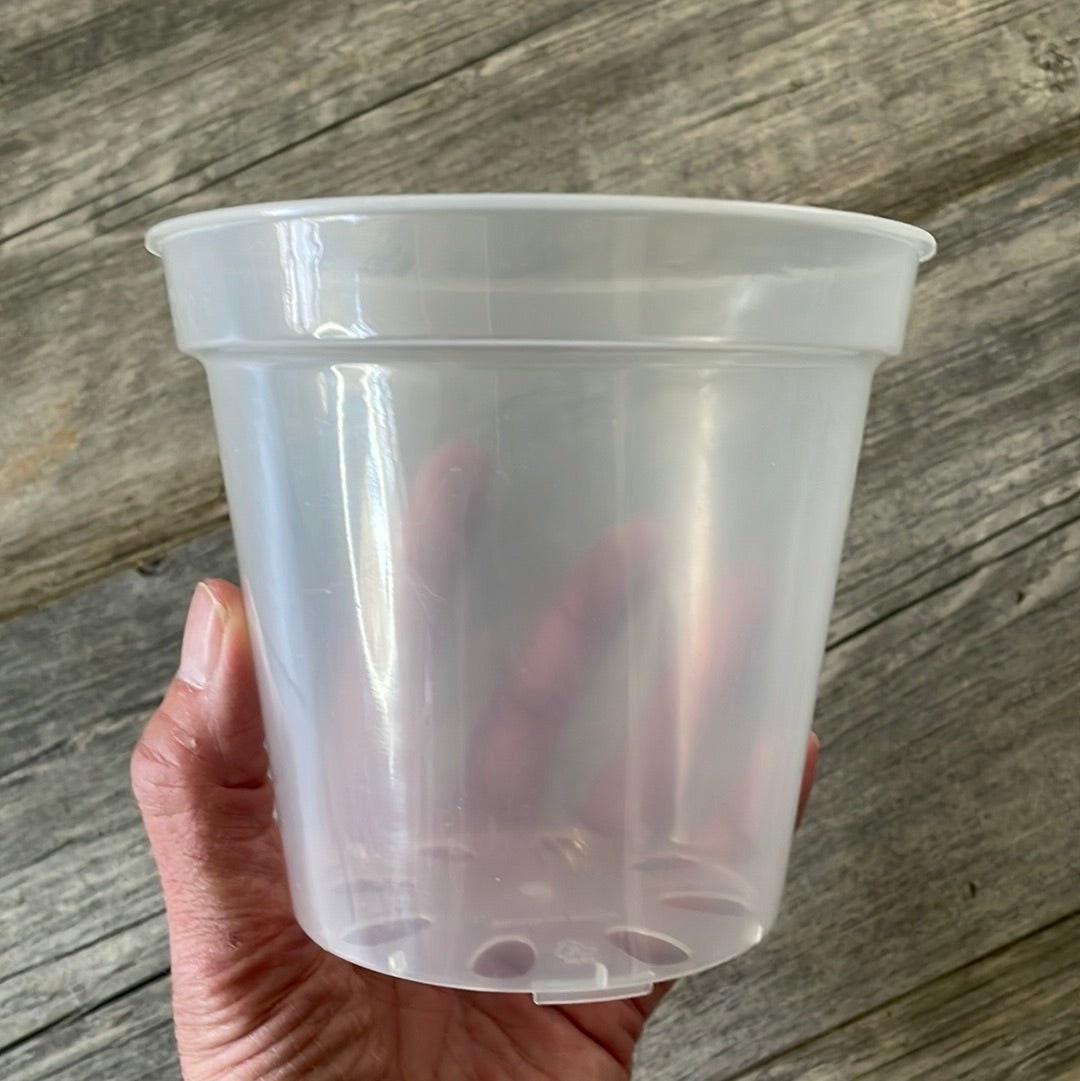5” Round Ultra Clear Orchid Pot, Clear Plastic Pot, Plastic Flower Pot ...