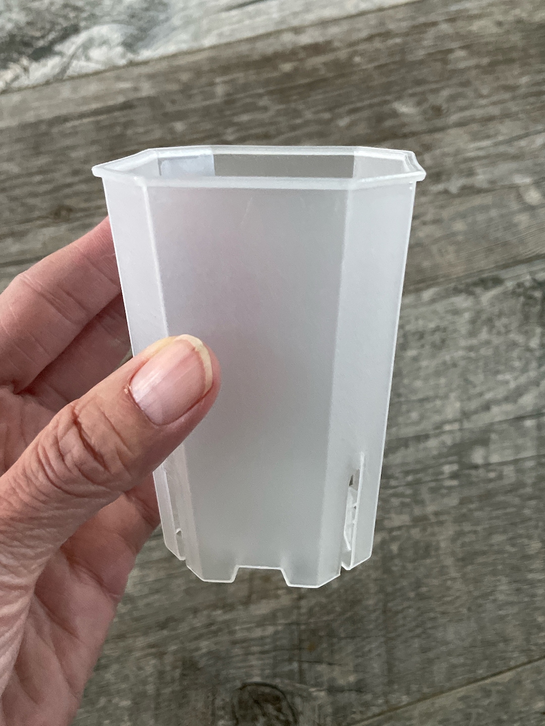 2.75" Bevel Sided Square Clear Pot, Tall Clear Pot for Orchid Seedlings ...