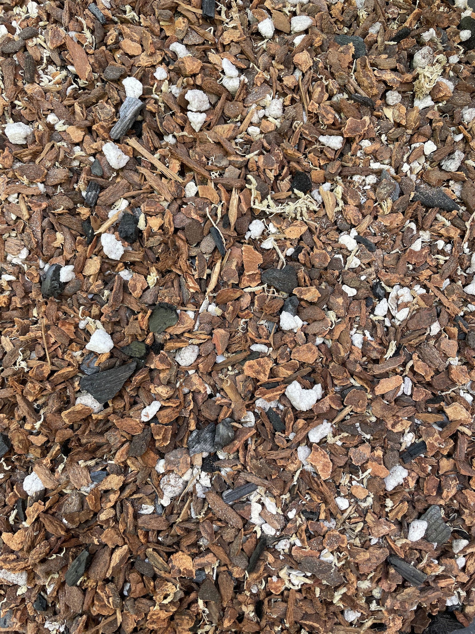 Orchid Repotting Kit With Fine Fir Bark Mix and 4" Clear Round Slotted ...