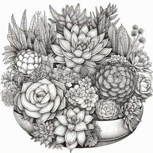 Bundle of 5 Succulent & Cactus Coloring Pages - Etsy