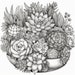 Bundle of 5 Succulent & Cactus Coloring Pages - Etsy