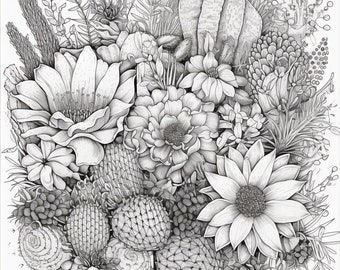 Bundle of 5 Succulent & Cactus Coloring Pages - Etsy