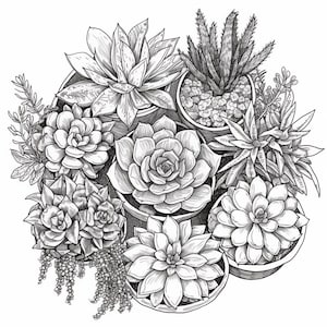 Bundle of 5 Succulent & Cactus Coloring Pages - Etsy
