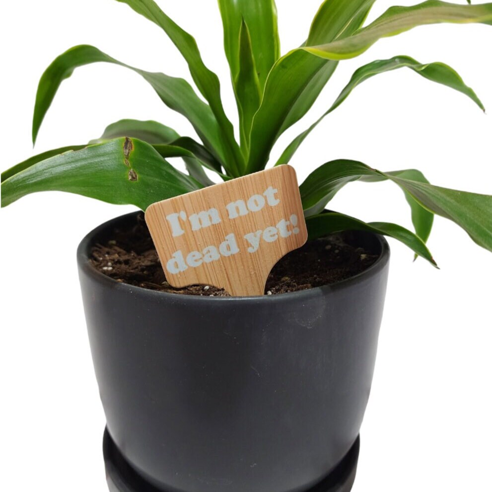 Funny Plant Signs - Etsy