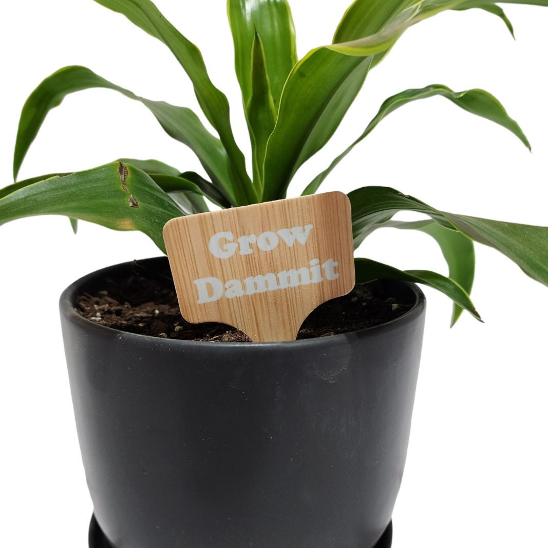 Funny Plant Signs - Etsy