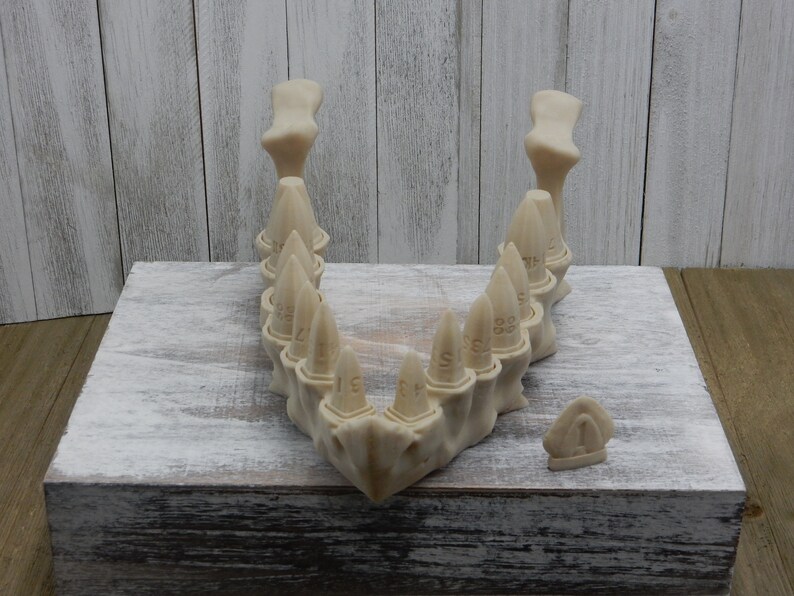 Dragon Teeth Dice Set - Etsy