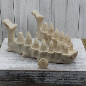 Dragon Teeth Dice Set - Etsy