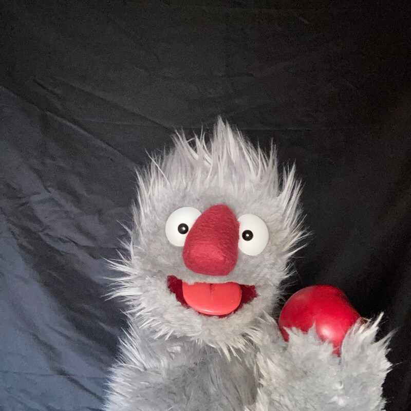 Muppet Puppet - Etsy