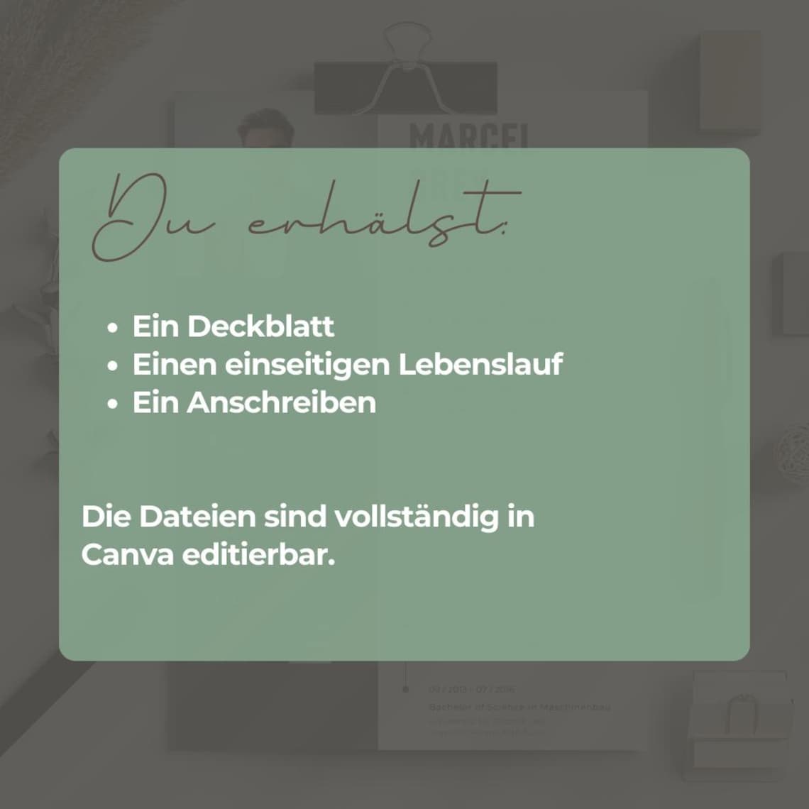 Canva Resume Template Modern CV Design Professional Job Application ...