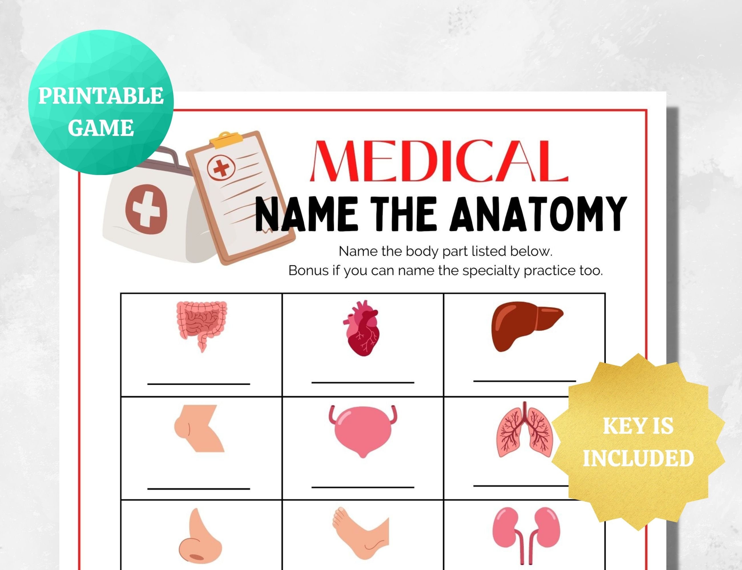 Medical Name the Anatomy PRINTABLE Medical Game Doctor - Etsy