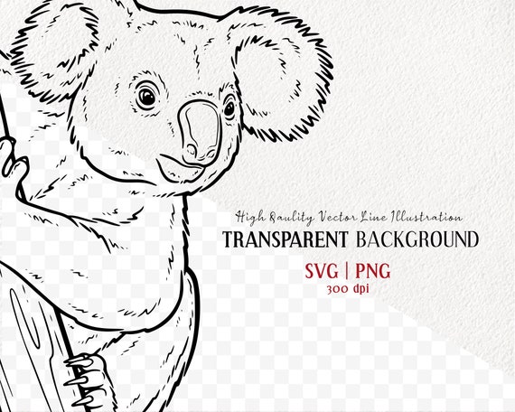 Koala Outline Realistic