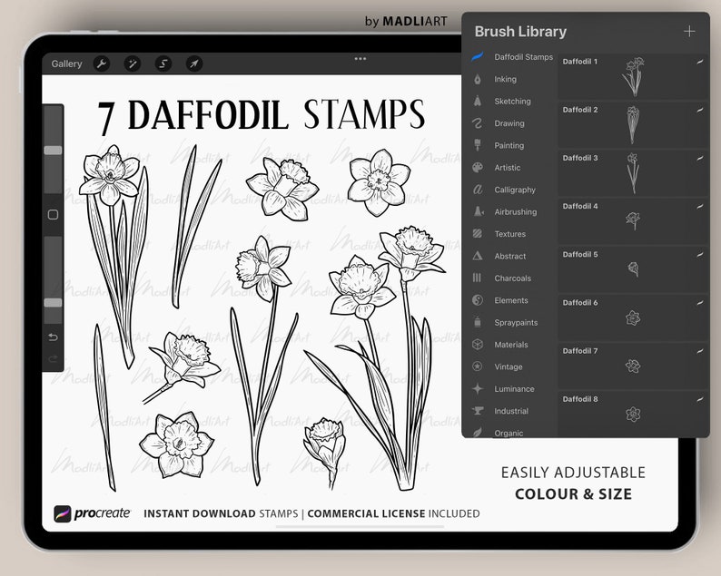 10 Daffodil Flower Procreate Stamps. Narcissus Tattoo Art. - Etsy