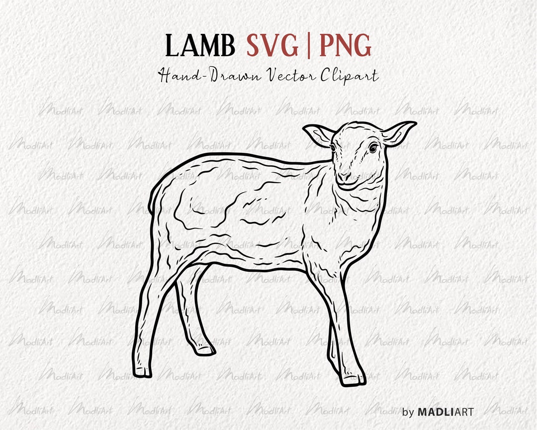 Sheep SVG Clipart. Sheep Vector Line Art. Baby Sheep Clipart Drawing ...