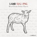 Sheep SVG Clipart. Sheep Vector Line Art. Baby Sheep Clipart Drawing ...