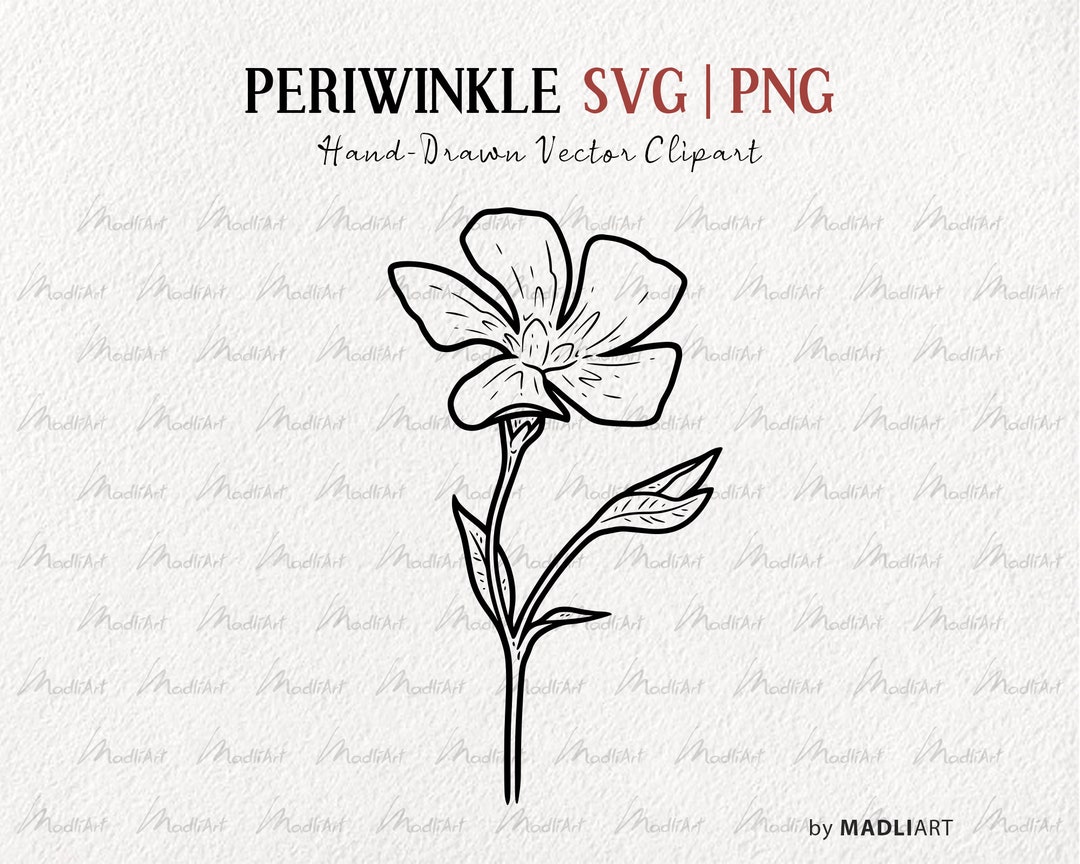 Periwinkle SVG Clipart. Spring Flower Blossom. Periwinkle Vector ...
