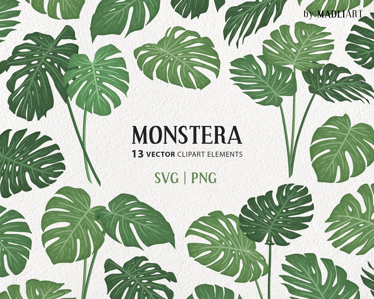 Monstera Leaf SVG Clipart Bundle. 13 Tropical Leaves. Botanical Vector ...